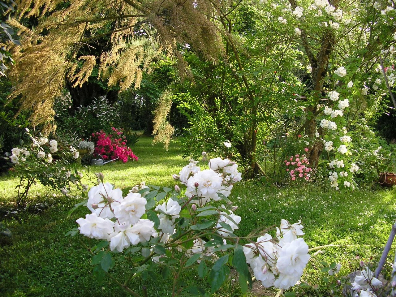 accueil - Site de jardin-de-montfleuri