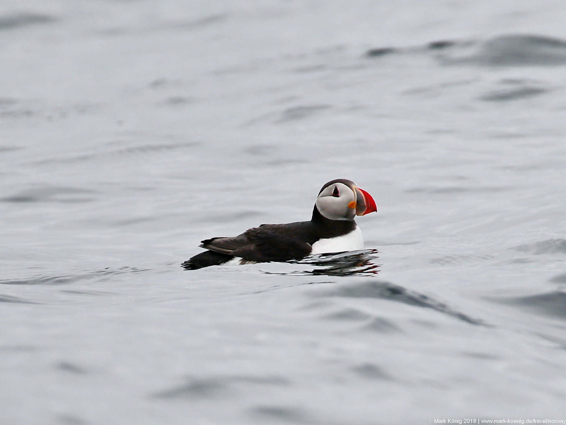 Blog - Mark König - business, consulting, photography, travel, tips