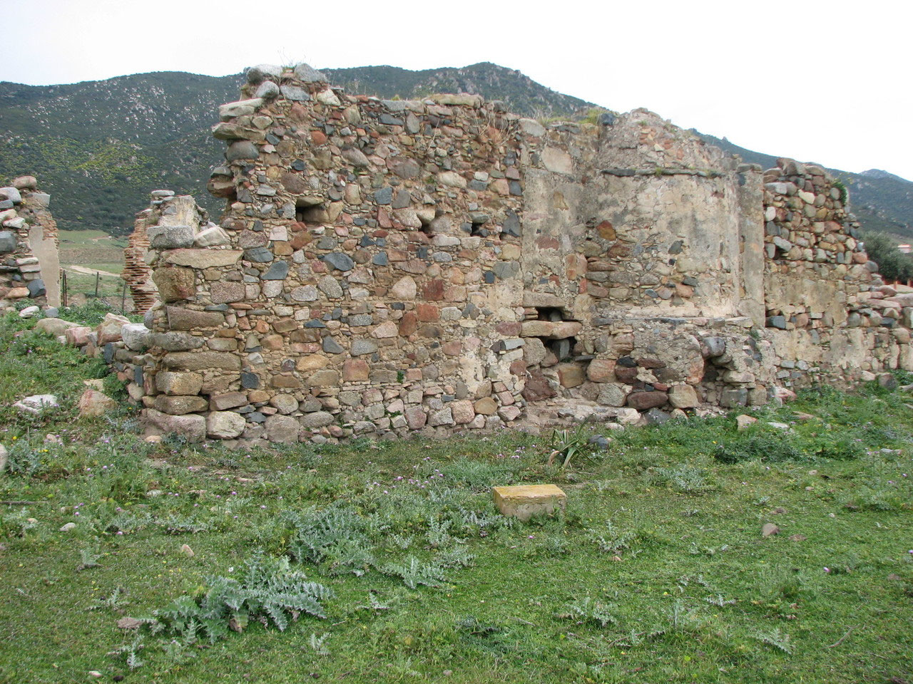 Il misterioso fascino della ricerca sul campo... - tizianapilis jimdo page!