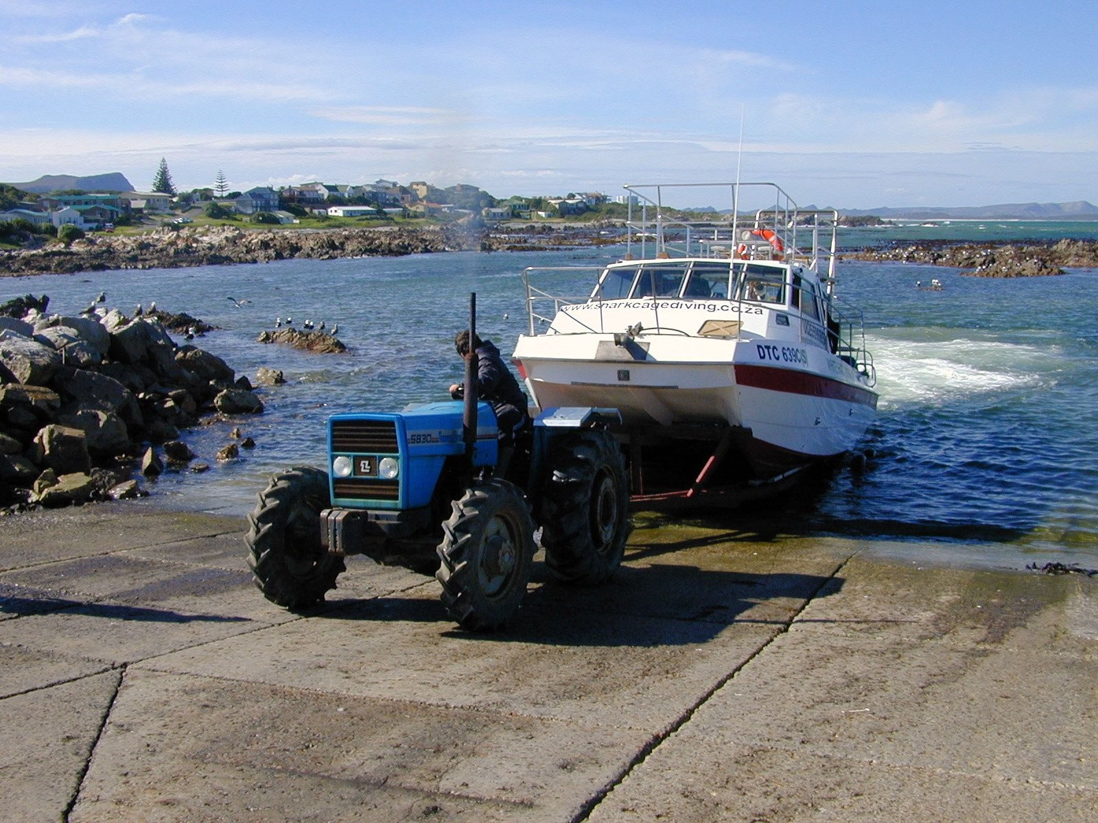 by Oliver Damitz - african-white-sharks Webseite