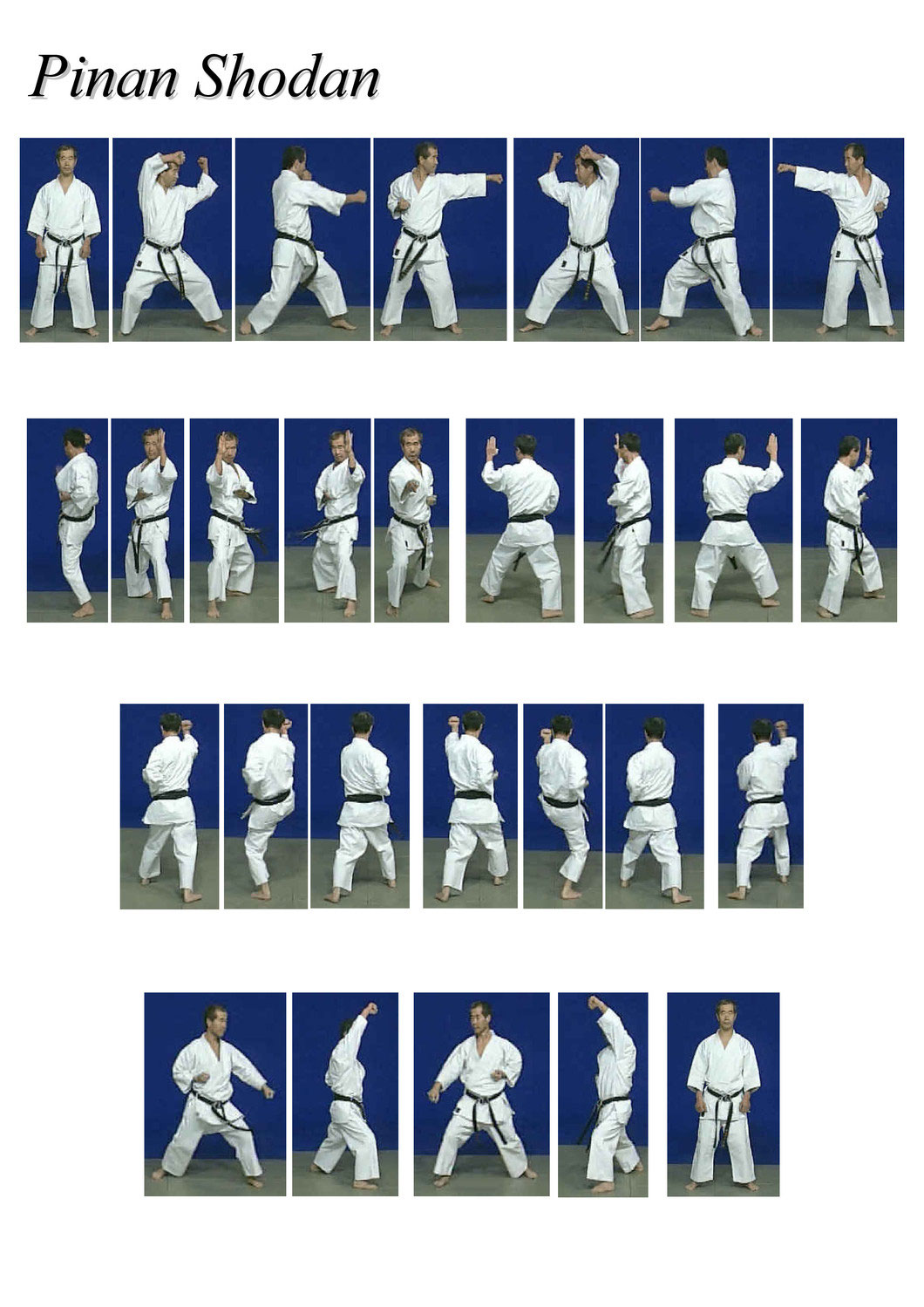 Les Katas du Wado Ryu - Karate Wado ryu