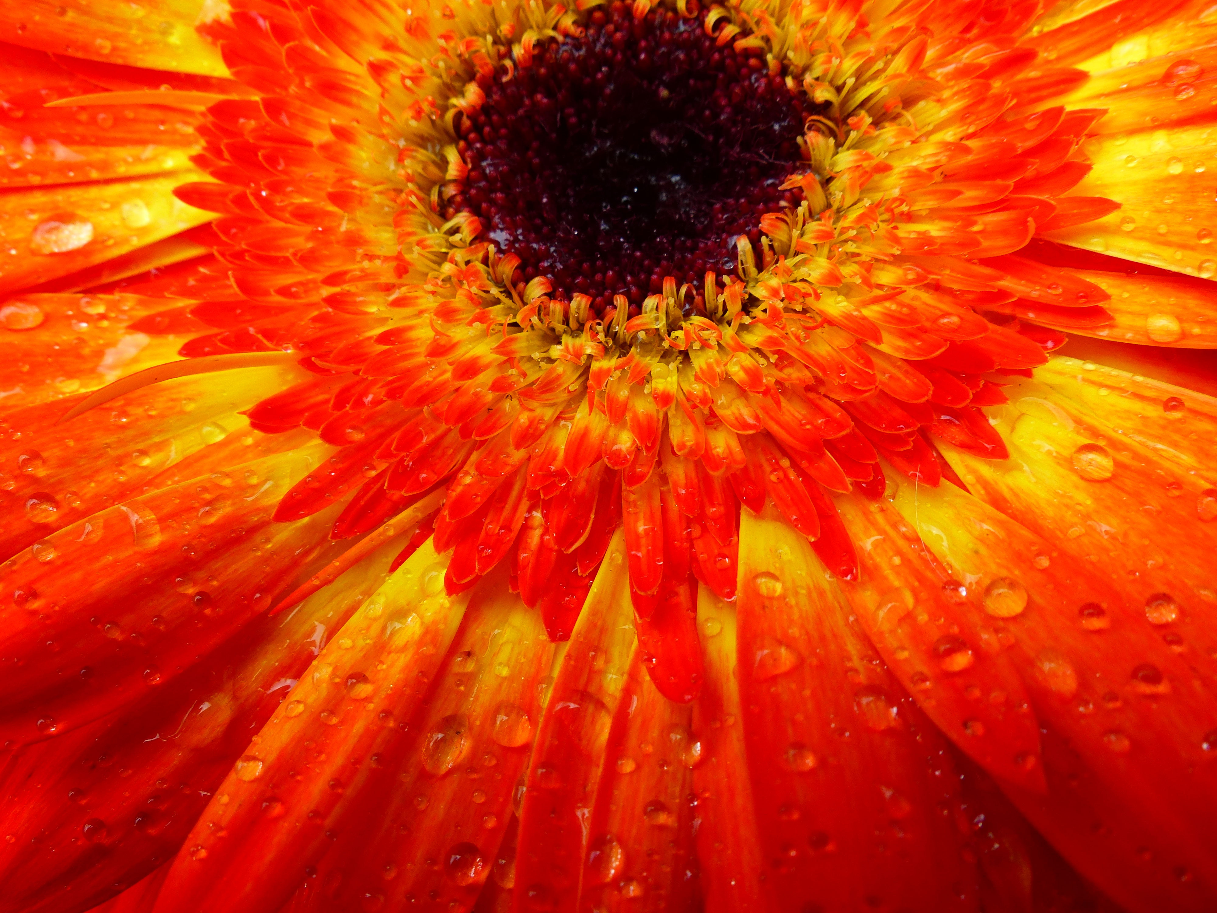 Contact Nigel - Photography by Nigel Cameron