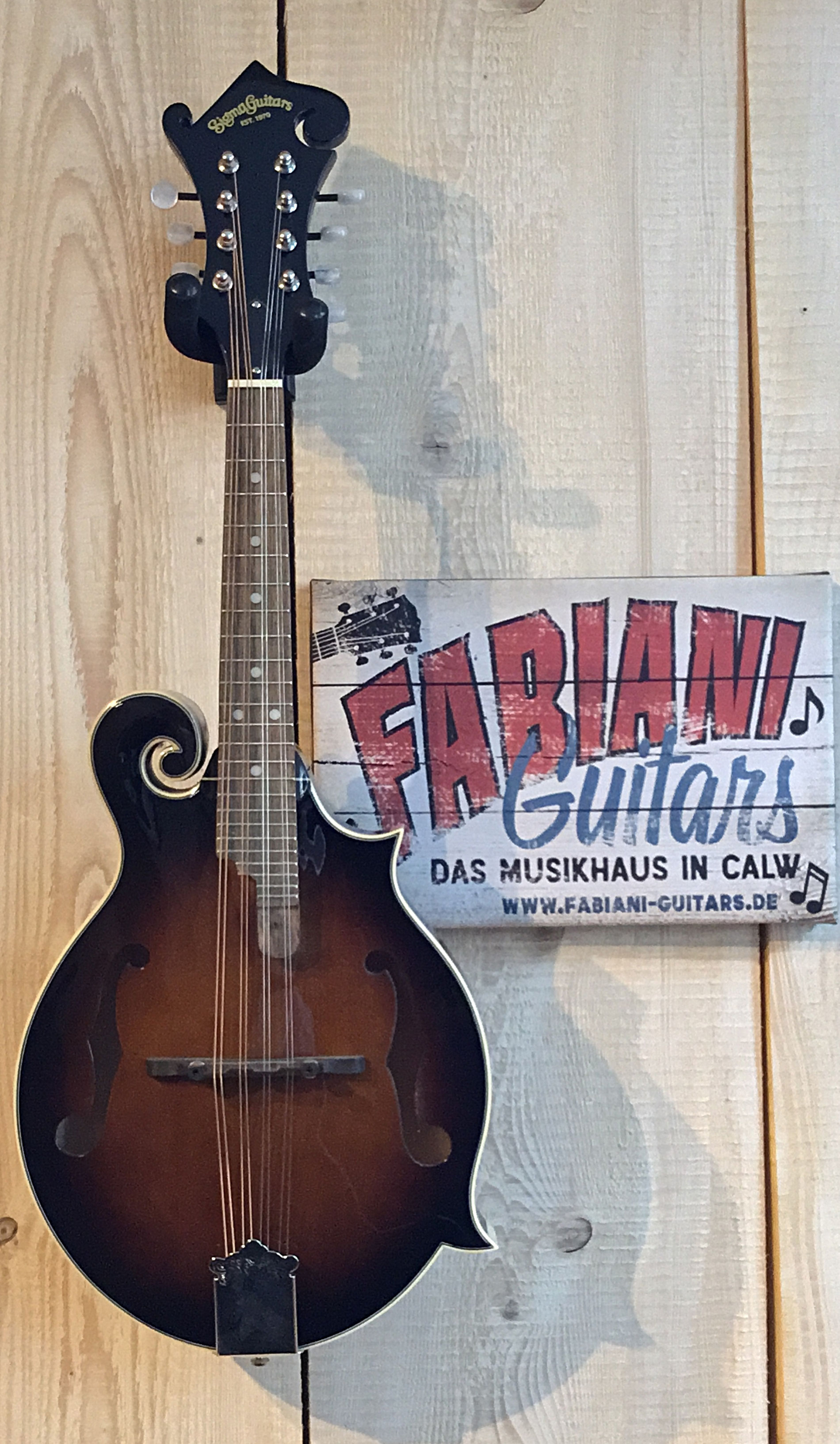 Banjos/Jazzgitarren/Lapsteel/Mandolinen & mehr.. - fabiani-guitars.de