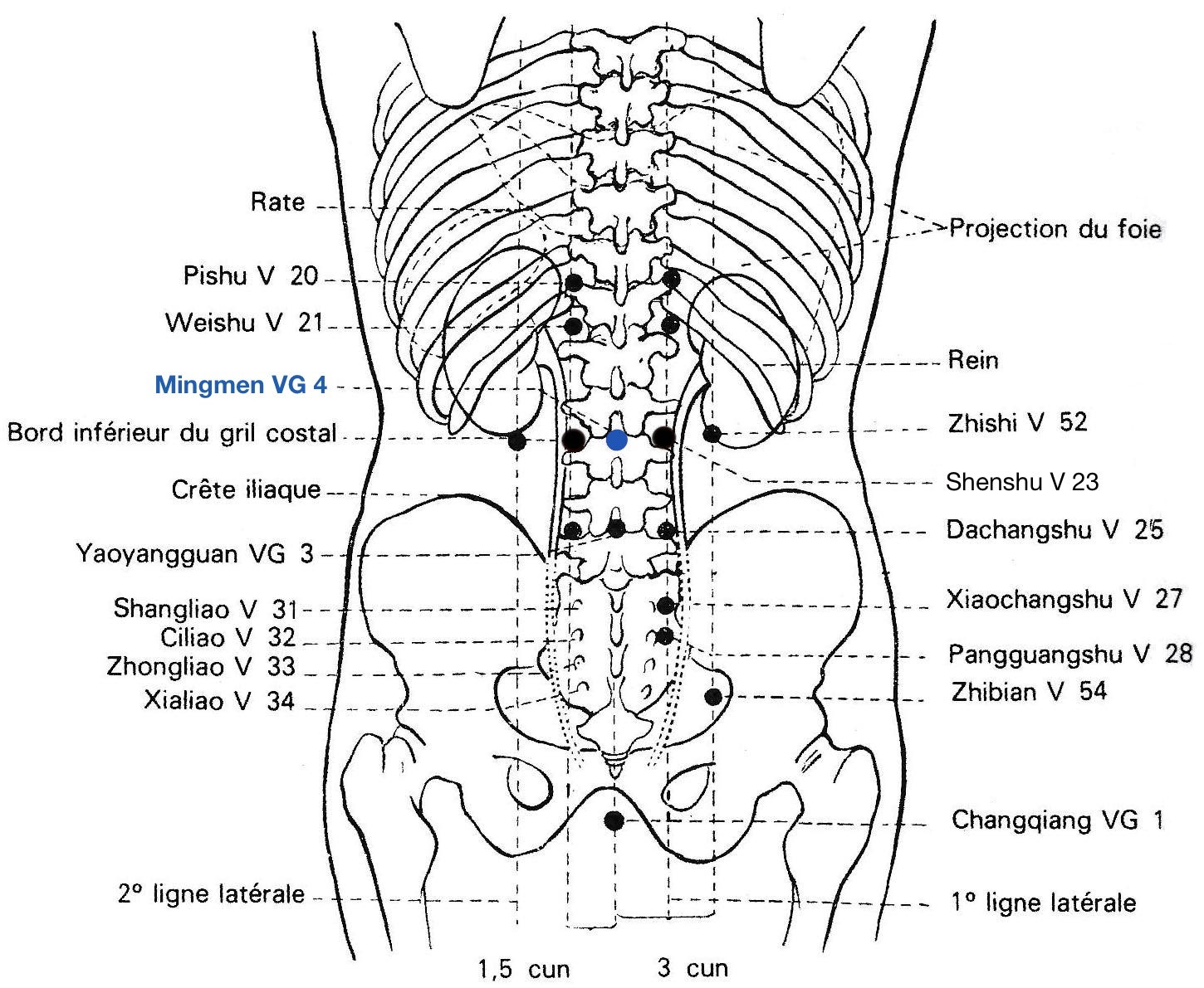 Dan Tian & Ming Men - CorpSensitif Institut : Cours de Daoyin Yangsheng ...