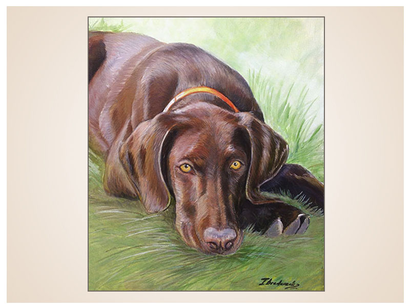 Hundeportraits nach Foto-Vorlage - Auftragsmalerin Inna Bredereck