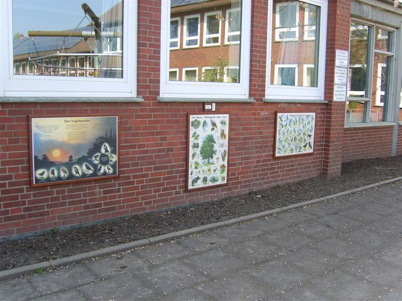 Naturlehrstation Grundschule Exten - Willkommen beim NABU Rinteln