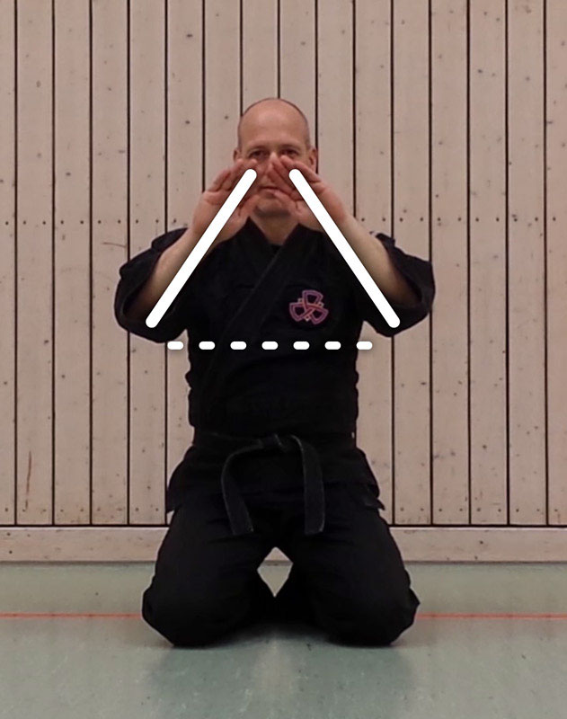 Mae ukemi - Ninjutsu lernen mit Ninpo Ralph