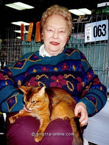 Somali-Katzen - Birgittas private Homepage