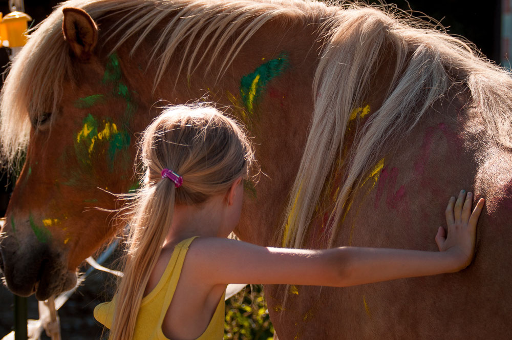 Mini Ponyspielkurse 6 Jahre - Medizinpferde