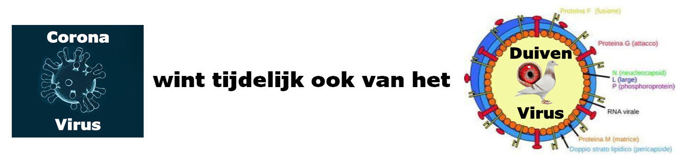 Mededelingen 2020 NPO - De website van postduiven houders vereniging ...