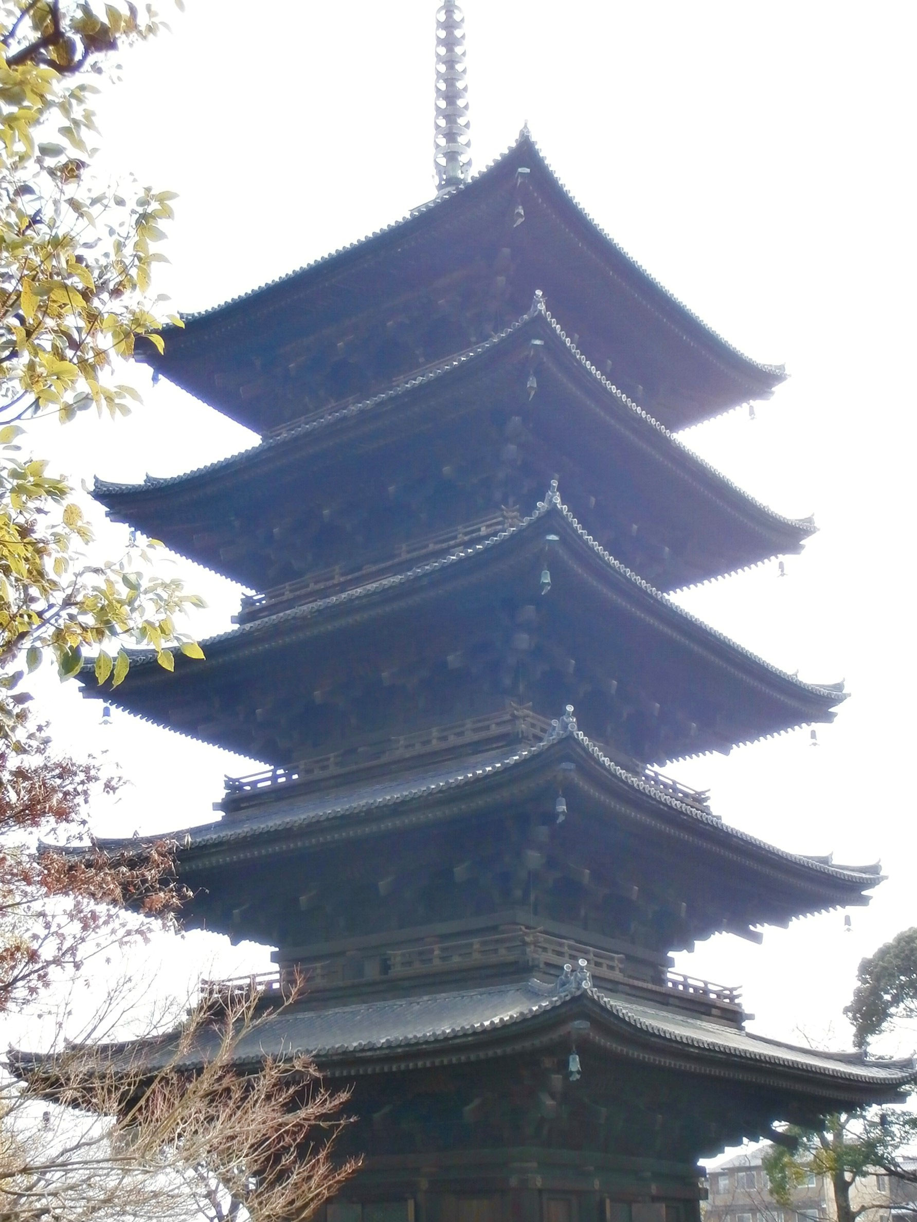 Tour Name: Uji and Toji Temple area (8 to 9 hours) - Kyoto mansai tours ...