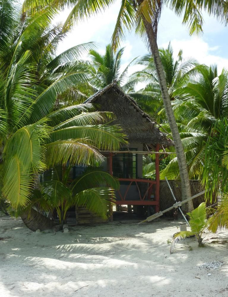 My Island in the Sun - Letters from Paradise