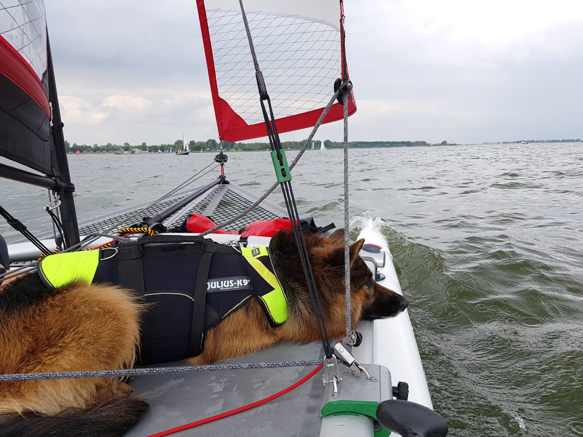 XCAT SAIL Multi-Sport-Katamaran segeln, testen & kaufen - Sportwerft®