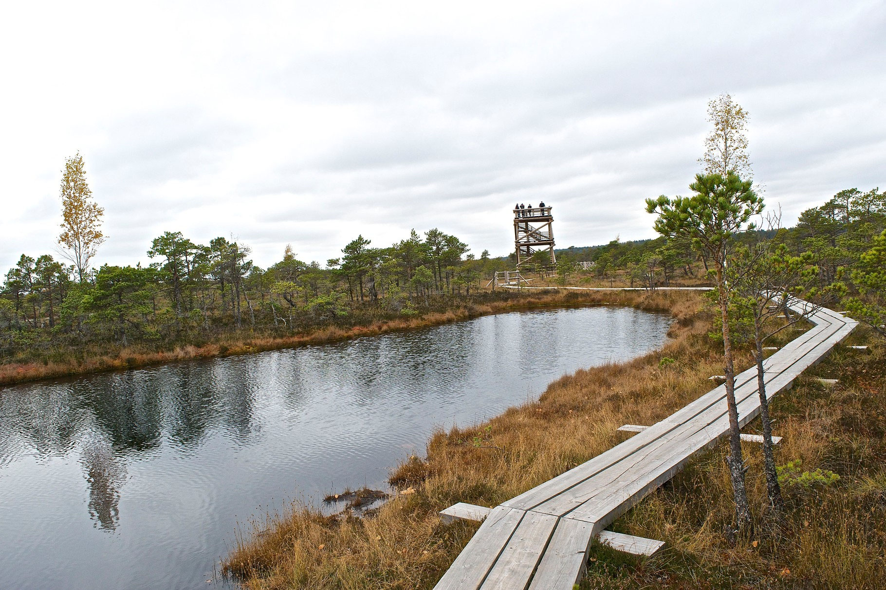 The Kemeri National Park, Latvia - MyHammockTime.com | Travel Blog