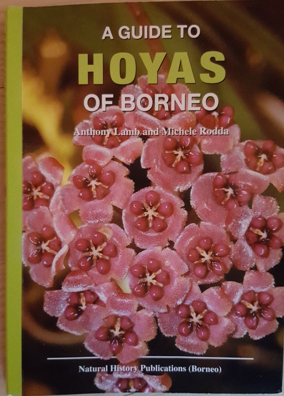"A guide to Hoyas of Borneo" von Anthony Lamb und Michele Rodda ...