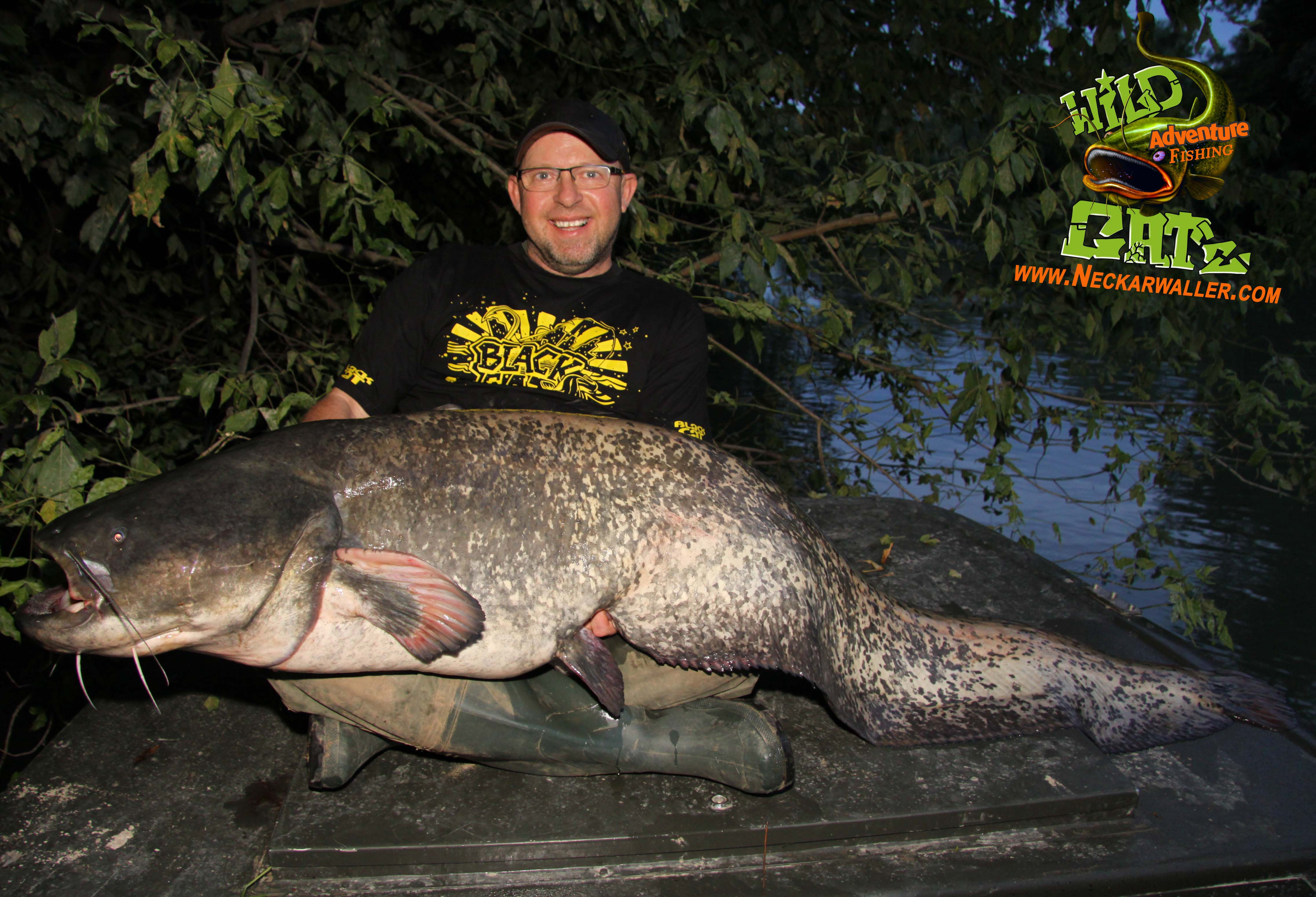 Rhein - Die erfolgreichsten Montagen - Welsguide Peter Merkel bietet ...