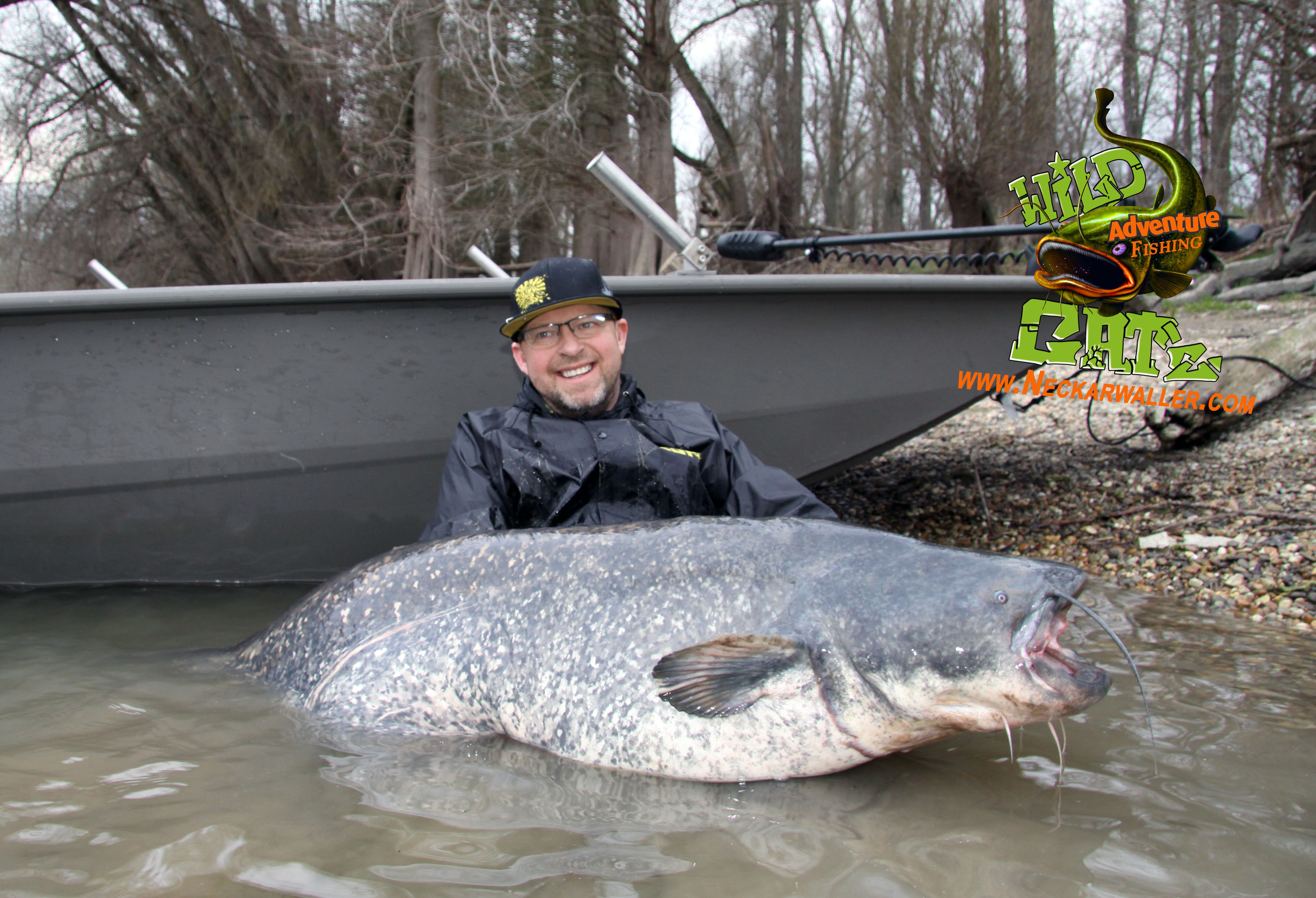 Rhein - Die erfolgreichsten Montagen - Welsangeln mit Welsguide Peter ...