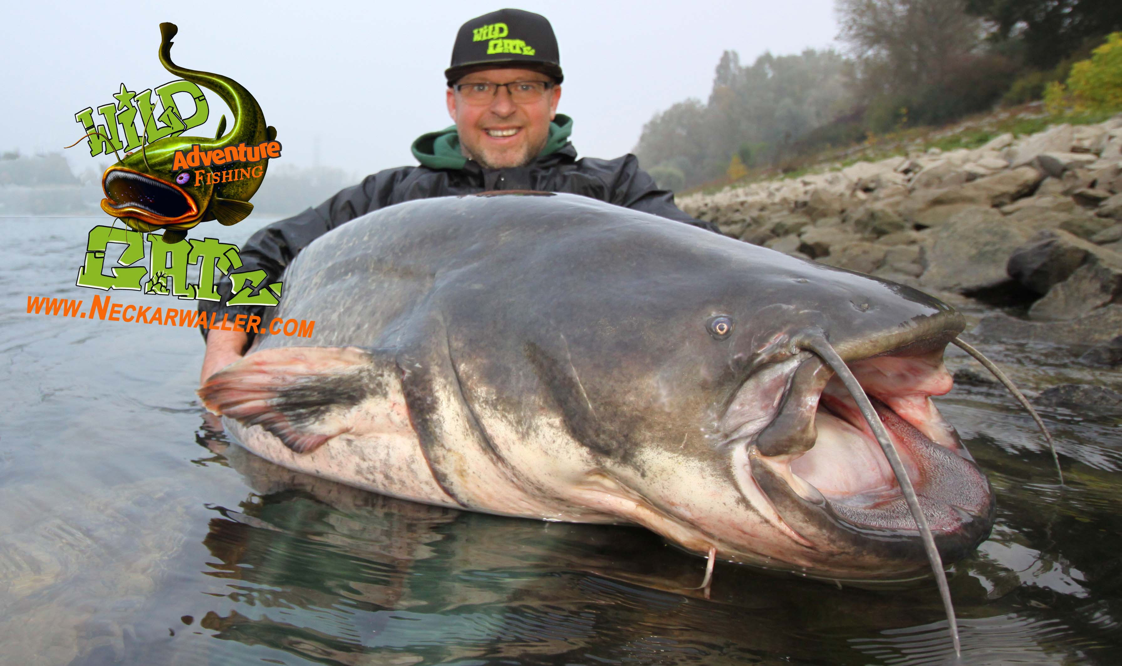 Rhein - Die erfolgreichsten Montagen - Welsguide Peter Merkel bietet ...