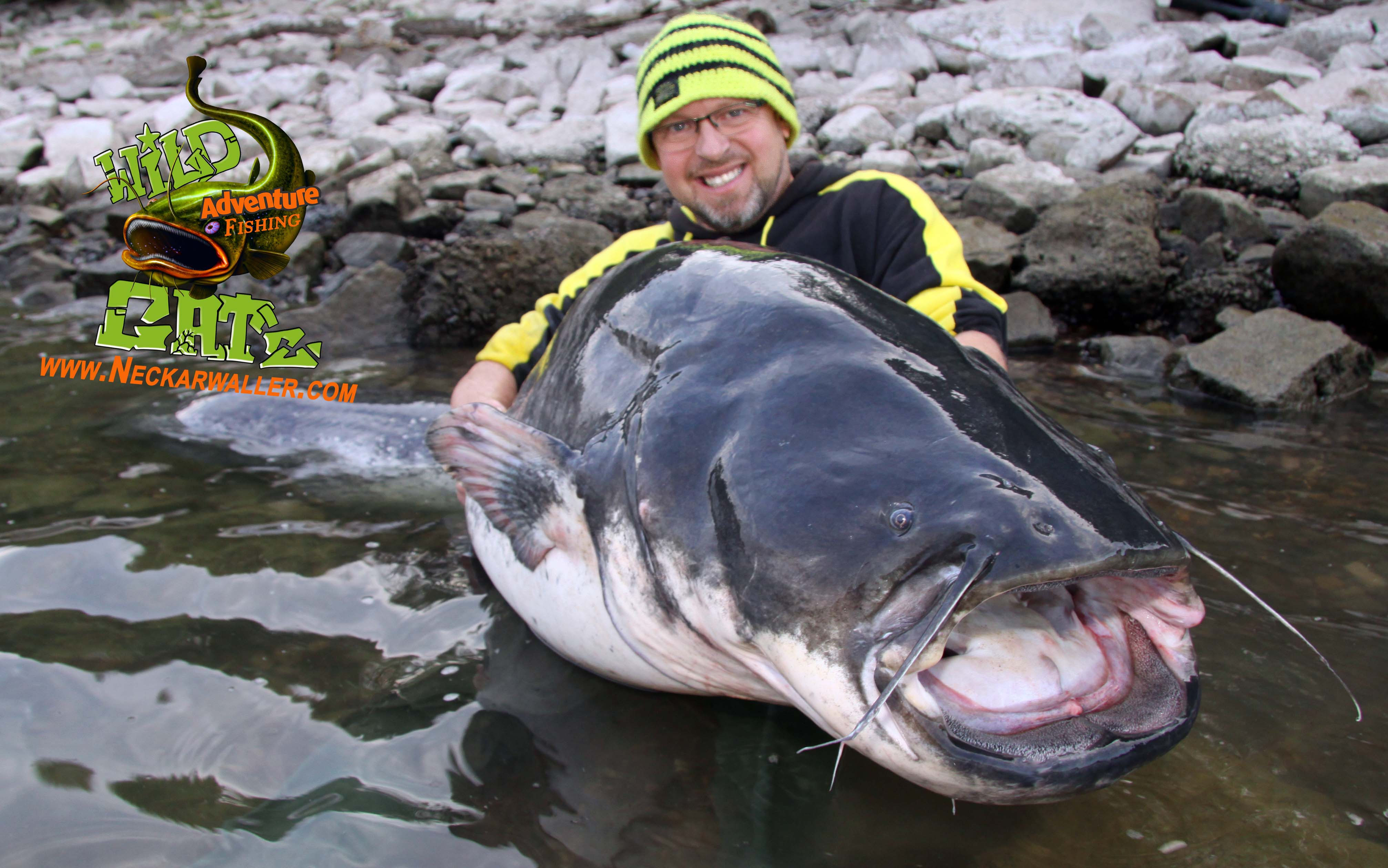 Rhein - Die erfolgreichsten Montagen - Welsguide Peter Merkel bietet ...