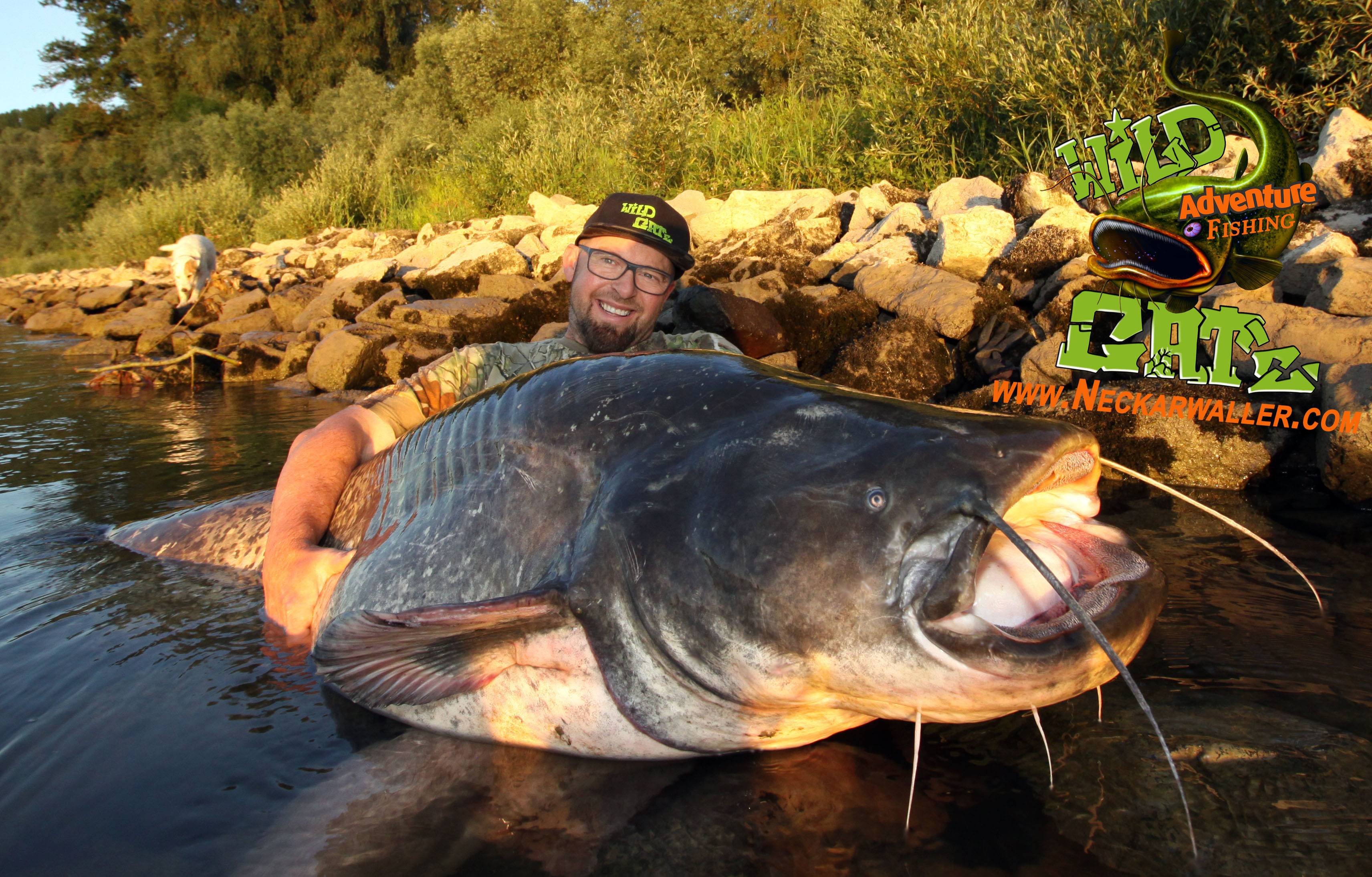 Rhein - Die erfolgreichsten Montagen - Welsangeln mit Welsguide Peter ...