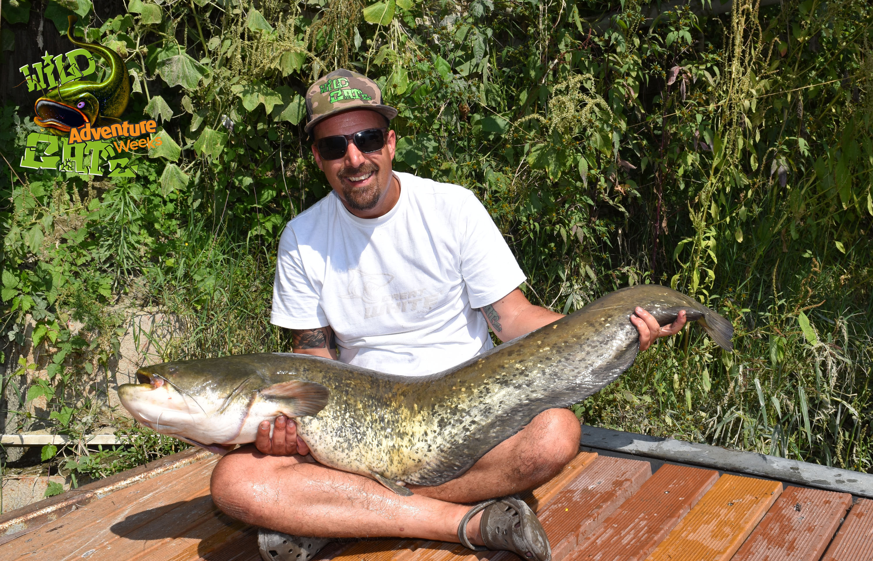 Abenteuer Wallerfischen im unberührten Oberlauf des Flusses Po bei ...