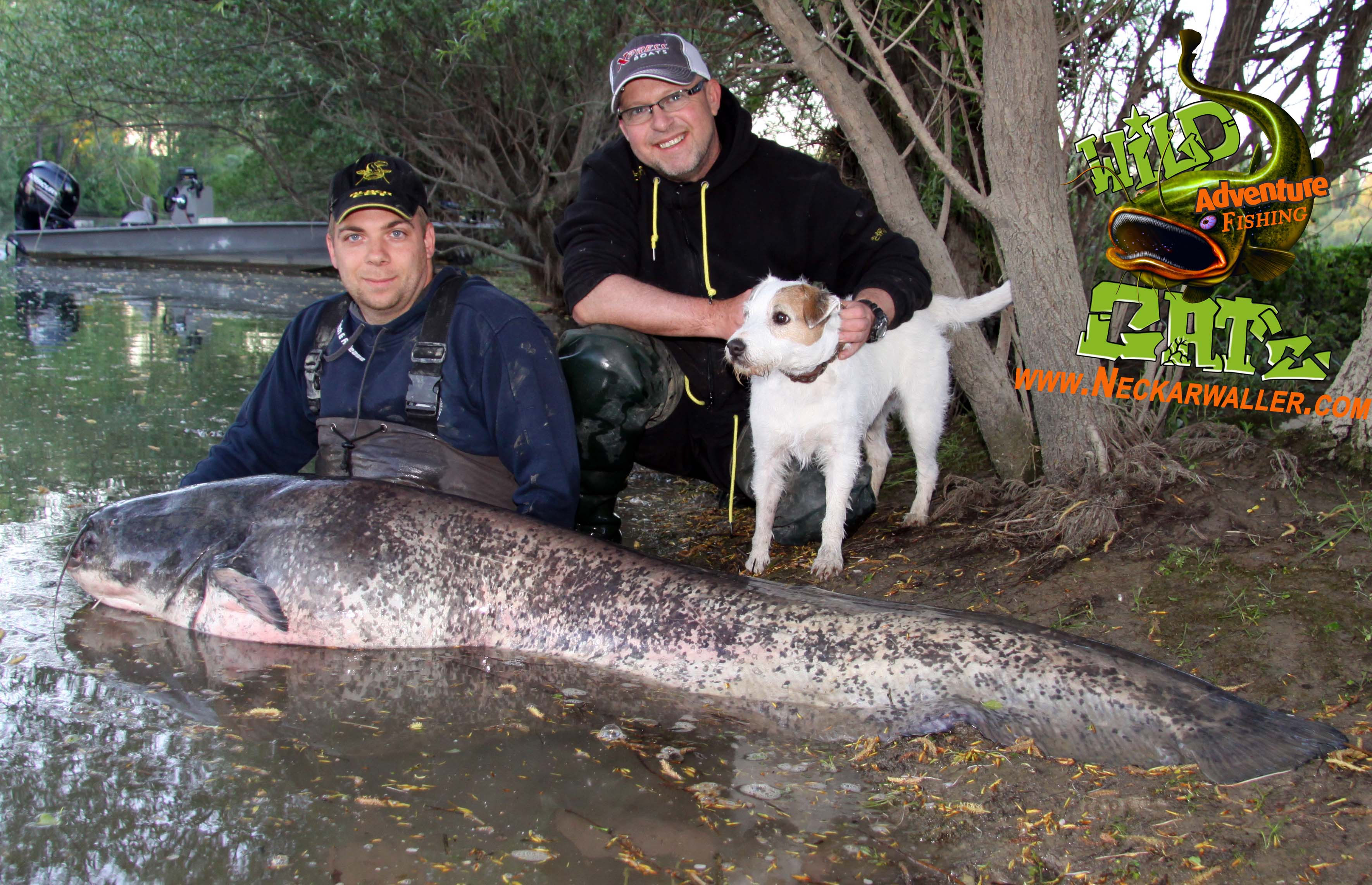 Rhein - Die erfolgreichsten Montagen - Welsguide Peter Merkel bietet ...