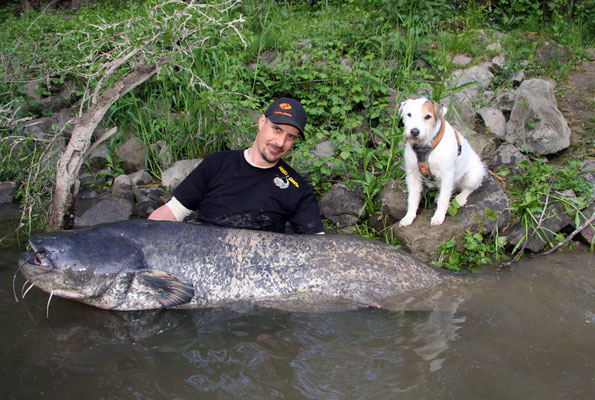 Rhein - Die erfolgreichsten Montagen - Welsguide Peter Merkel bietet ...
