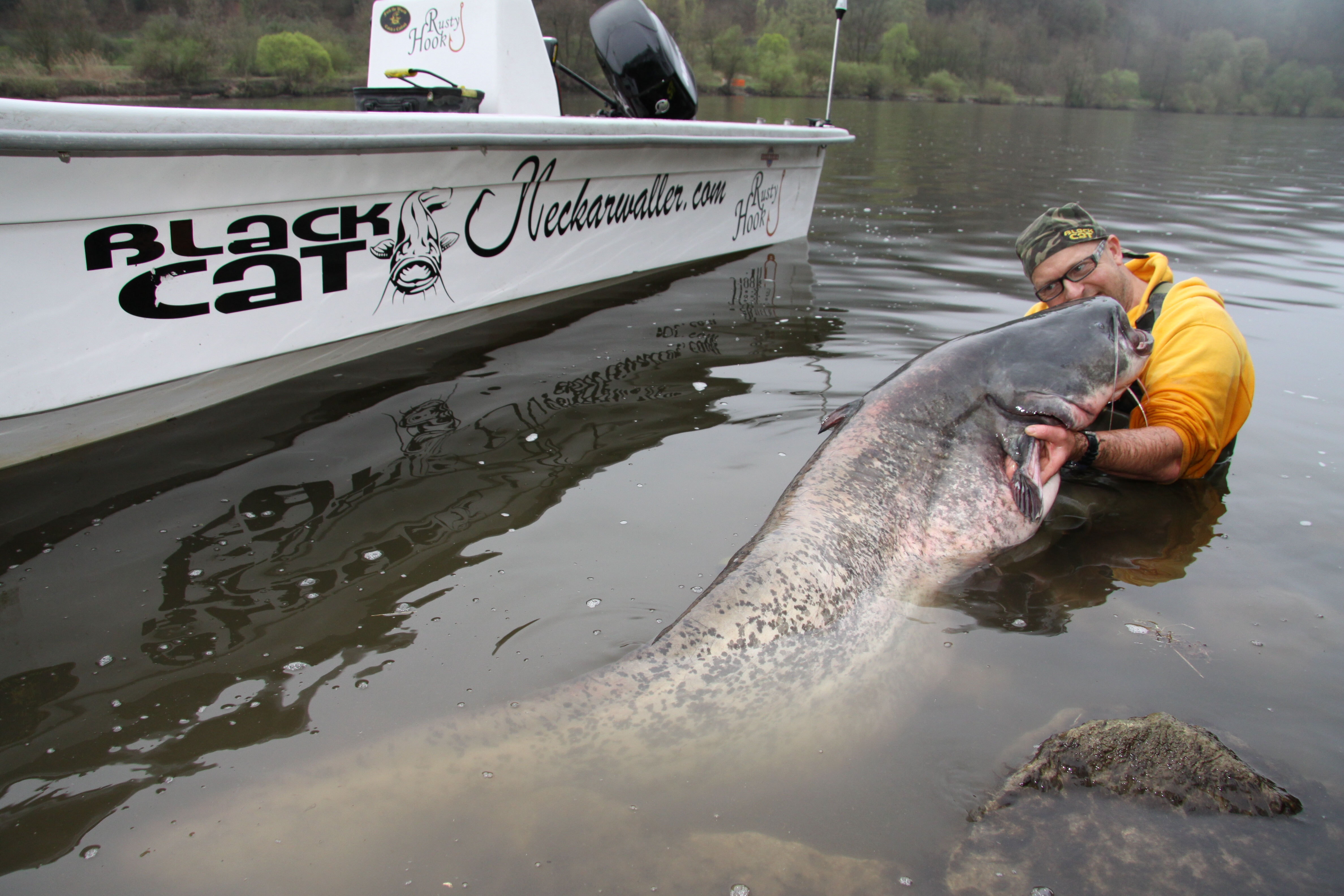 Die Merkel-Montage - Welsangeln mit Welsguide Peter Merkel unterstützt ...