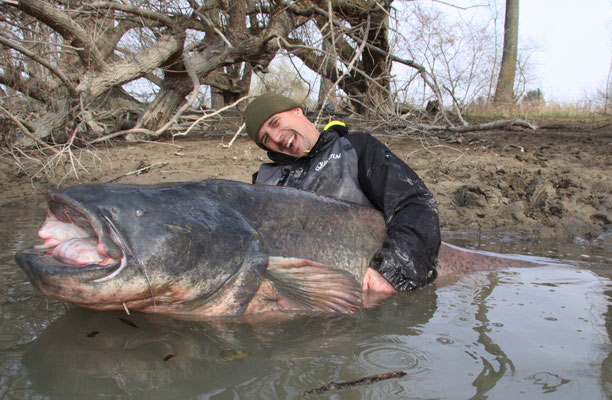 Rhein - Die erfolgreichsten Montagen - Welsguide Peter Merkel bietet ...