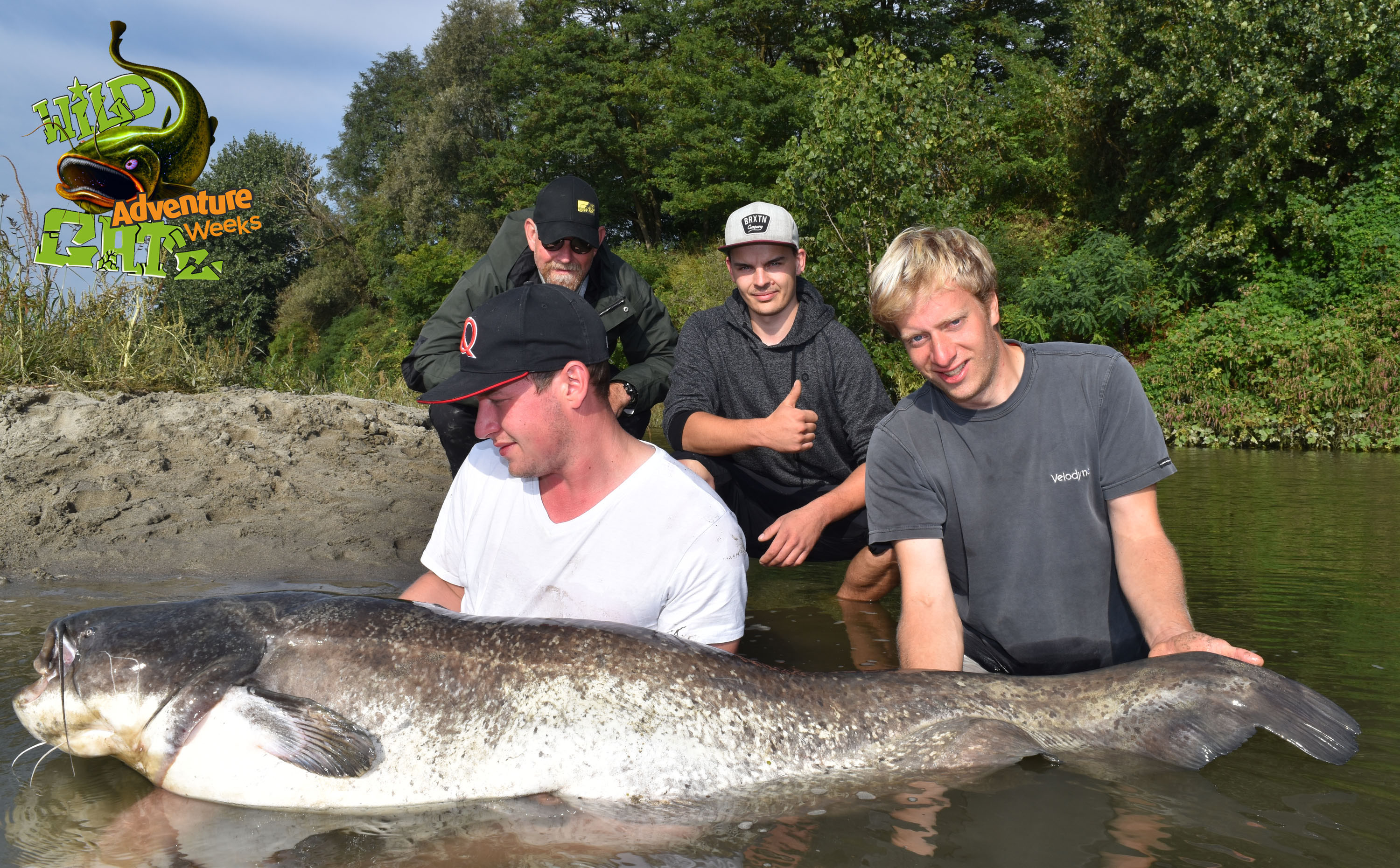 Abenteuer Wallerfischen im unberührten Oberlauf des Flusses Po bei ...