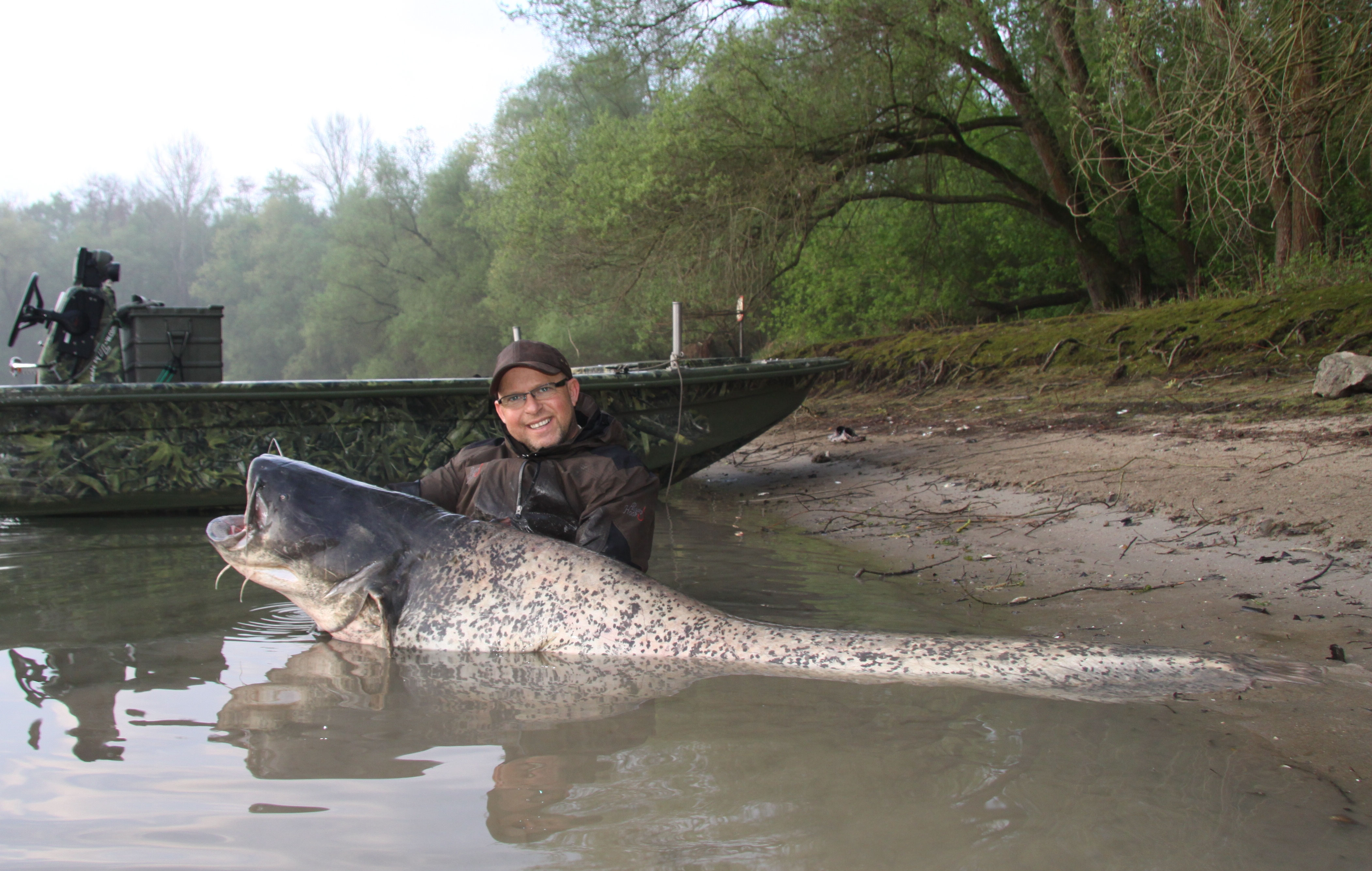 Die Altarme am Oberrhein. - Welsangeln mit Welsguide Peter Merkel ...