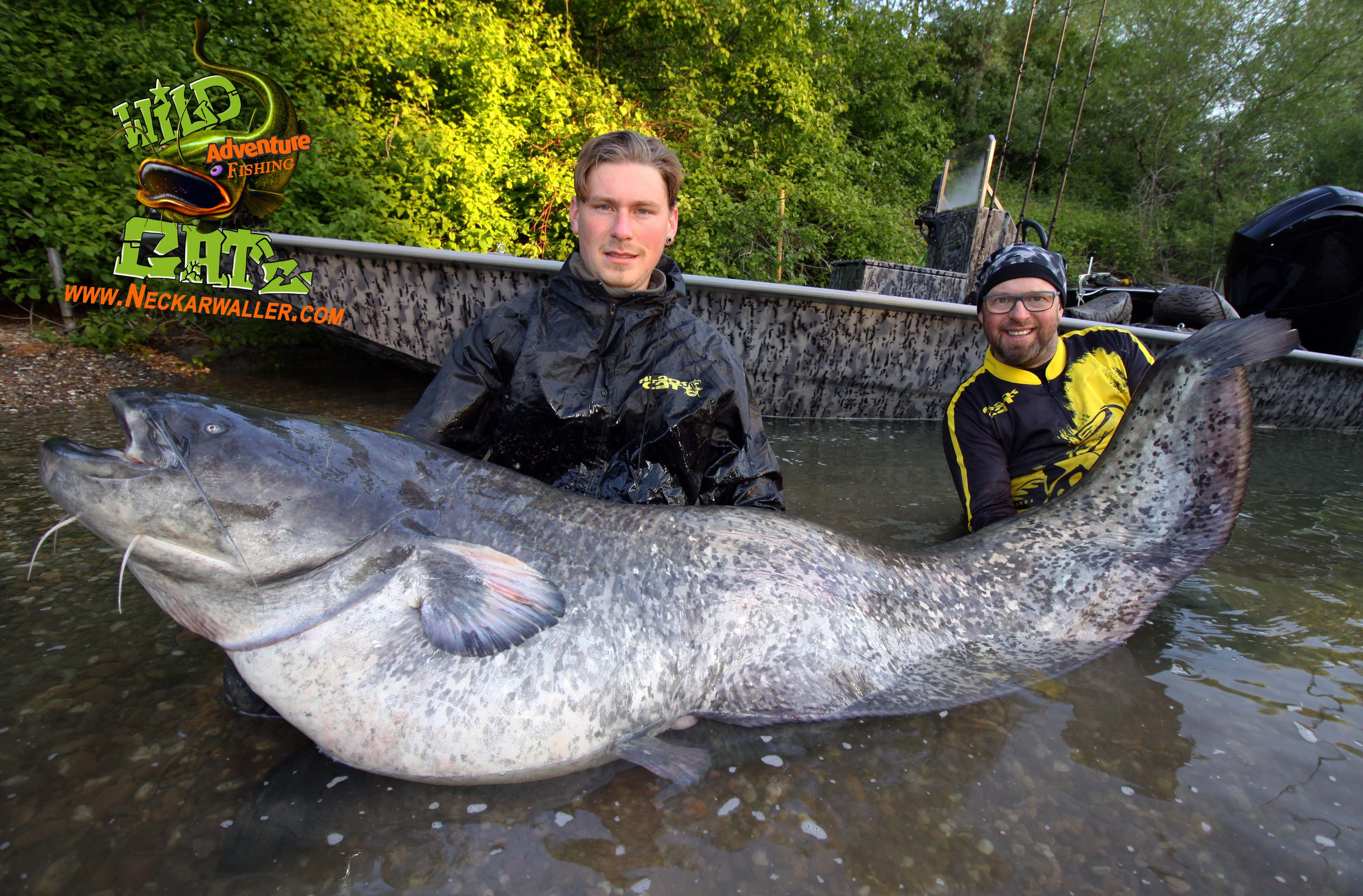 Rhein - Die erfolgreichsten Montagen - Welsguide Peter Merkel bietet ...