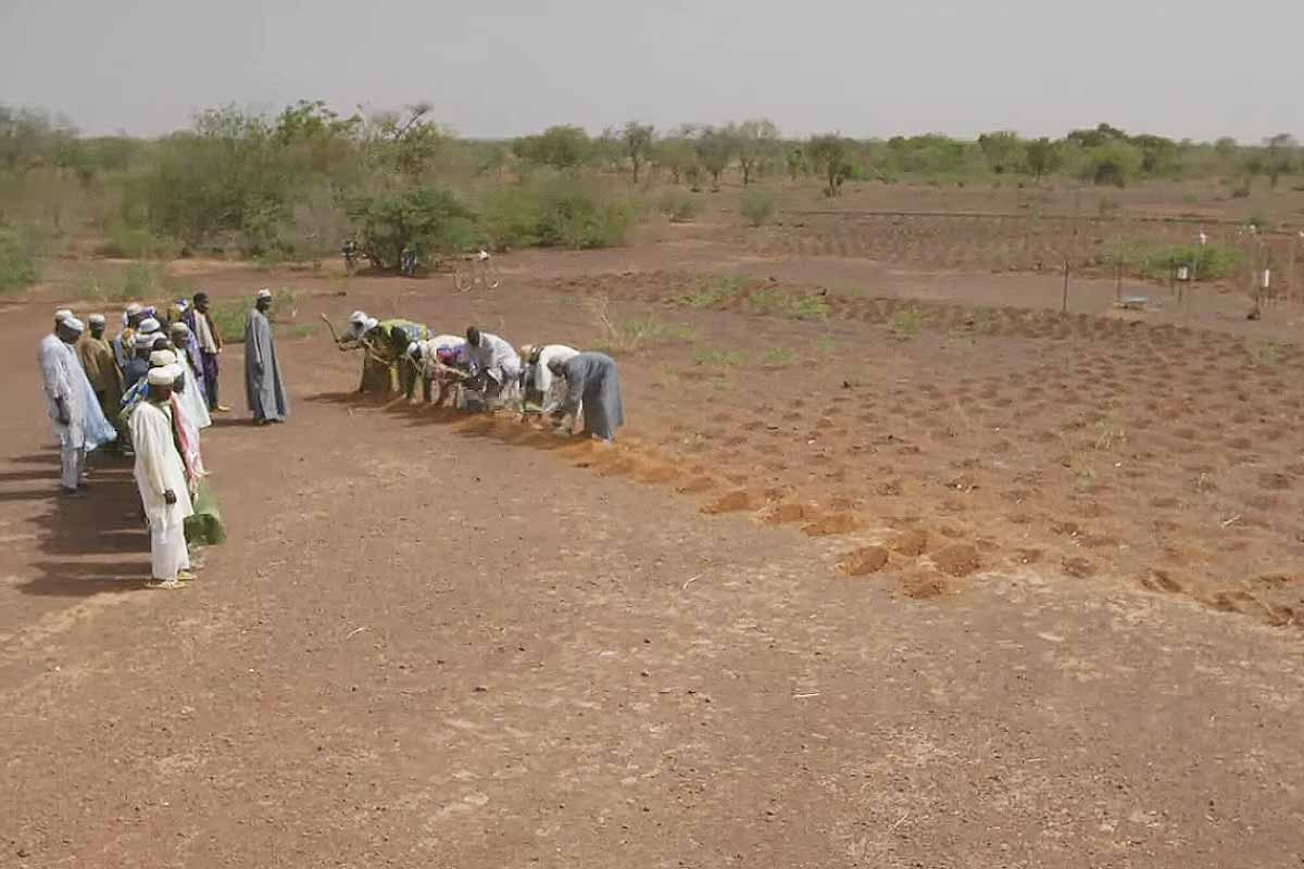 Zaï, une méthode africaine ancestrale pour « capturer l’eau de pluie ...