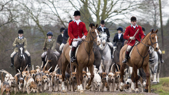 Fox Hunting - A History of Langar for young people