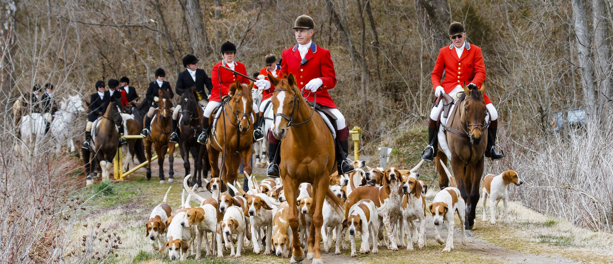 Fox Hunting - A History of Langar for young people