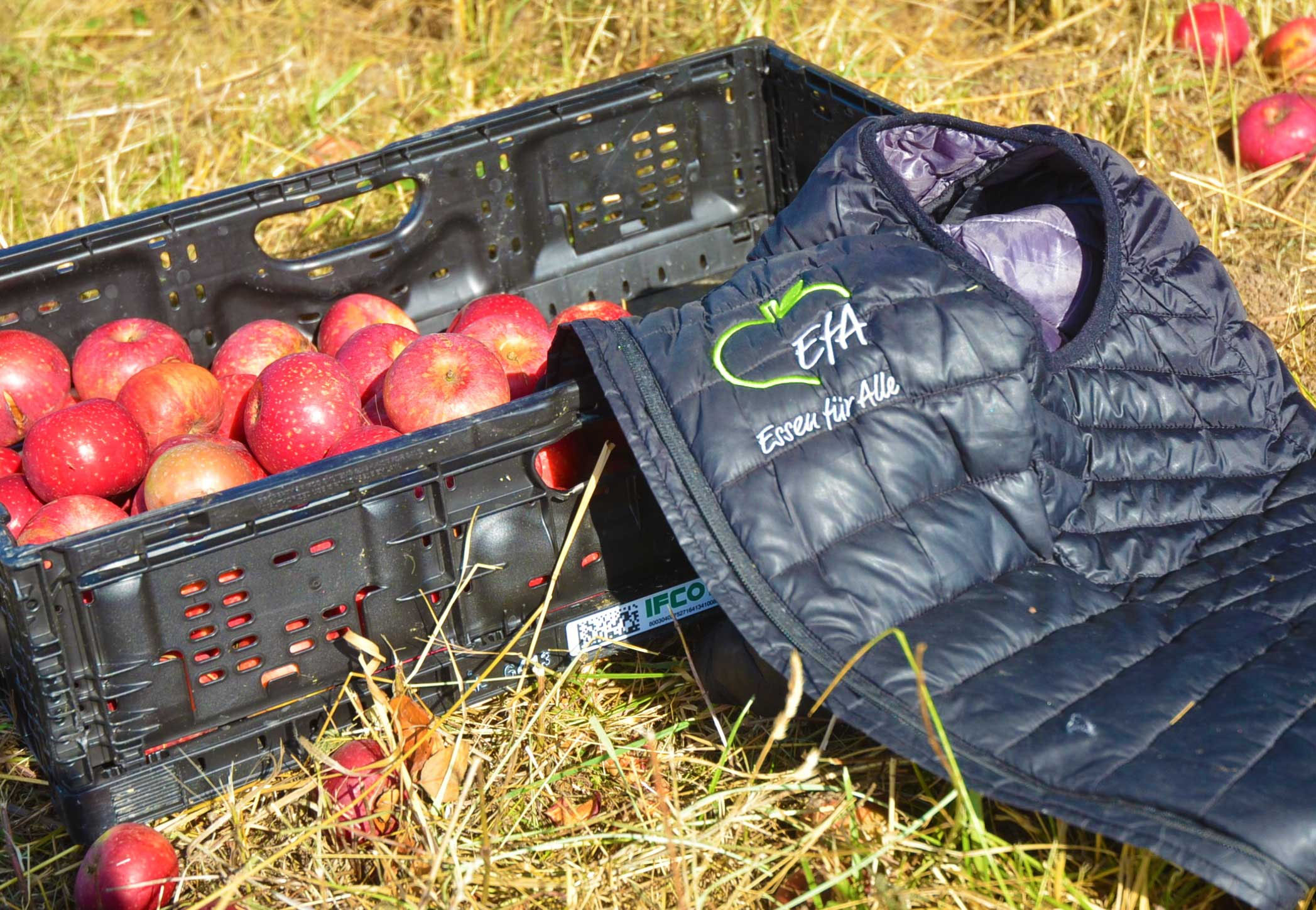 EfA-Produkte - EfA-Essen für Alle