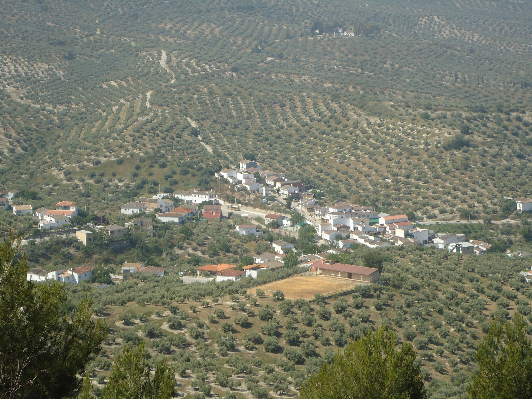 FANEGA: SUPERFICIE AGRARIA - Página web de Sabariego