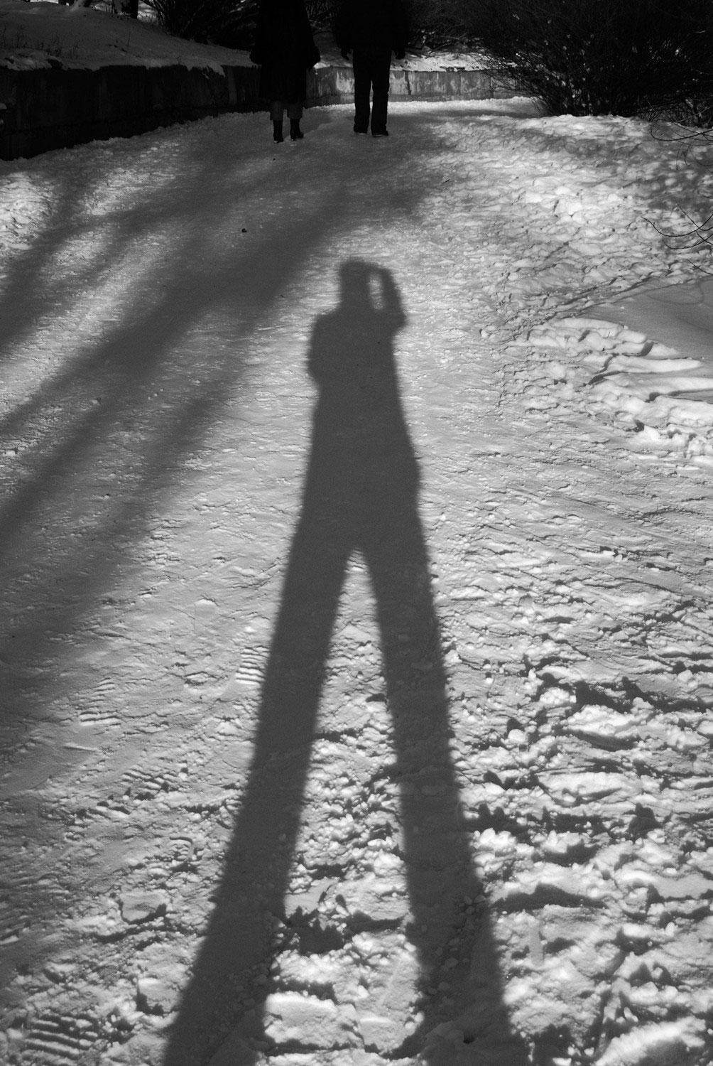 Фотографии - thelights Jimdo-Page!