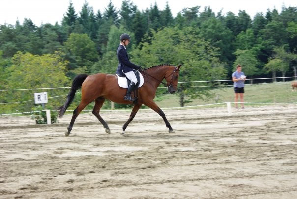 Prestations - Equi'63 - Moniteur d'équitation 63