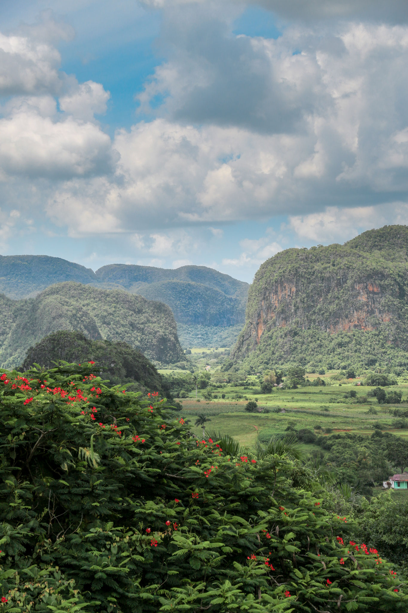 11.UNESCO | History | Viñales - Casa Particular Renga y Julia Vinales ...