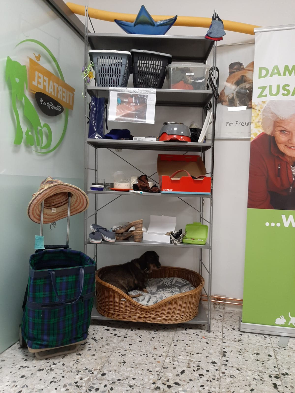 Luna im Mitnahmeregal - Tiertafel RheinErft e.V.- Futterausgabe der ...