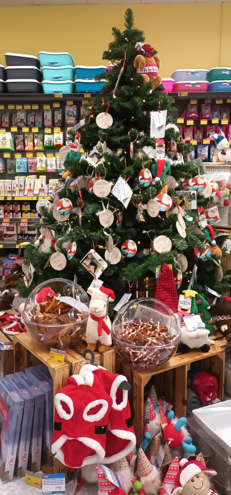 Wunschbaum im Futterhaus Quadrath-Ichendorf - Tiertafel RheinErft e.V ...