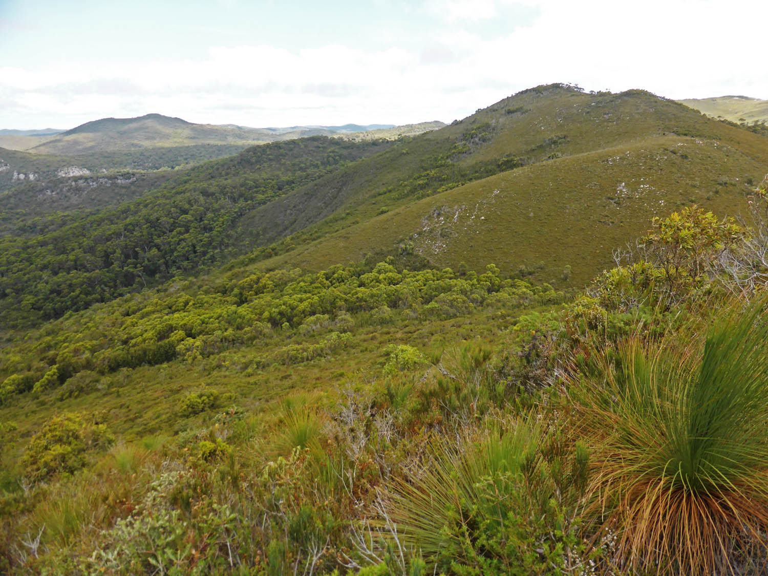 Rocky Cape National Park - The Journey and the Destination