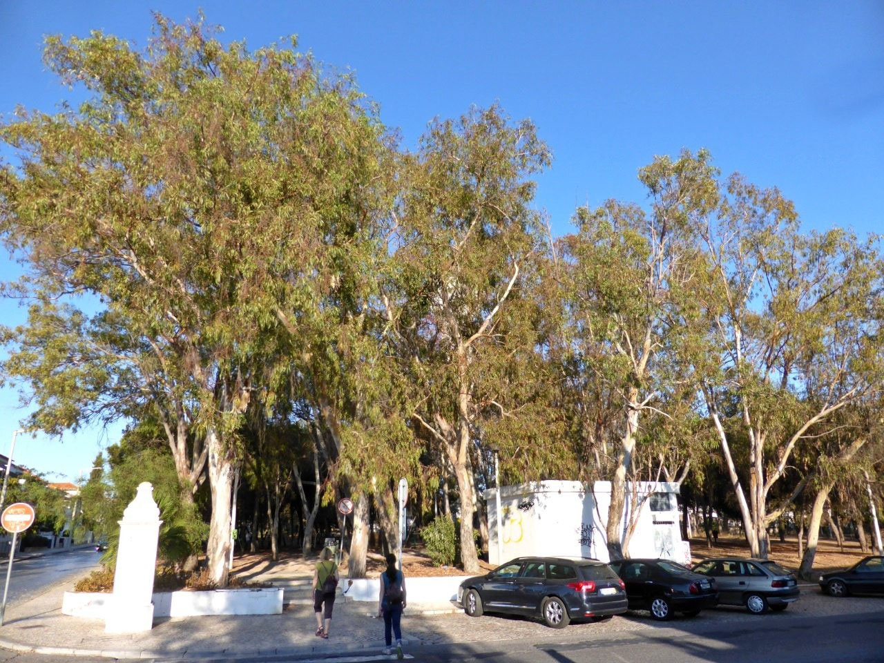 Australians living in Portugal - The Journey and the Destination