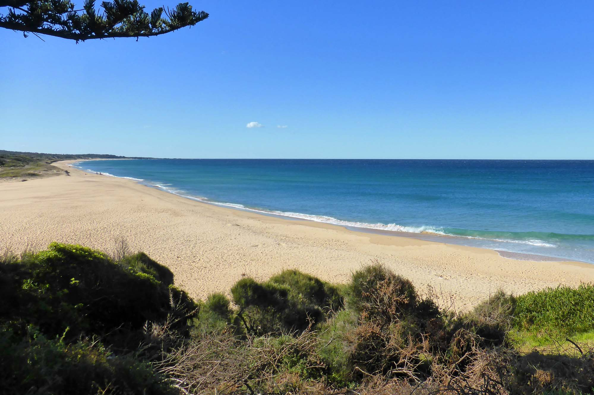 A walk on Coila Beach - The Journey and the Destination