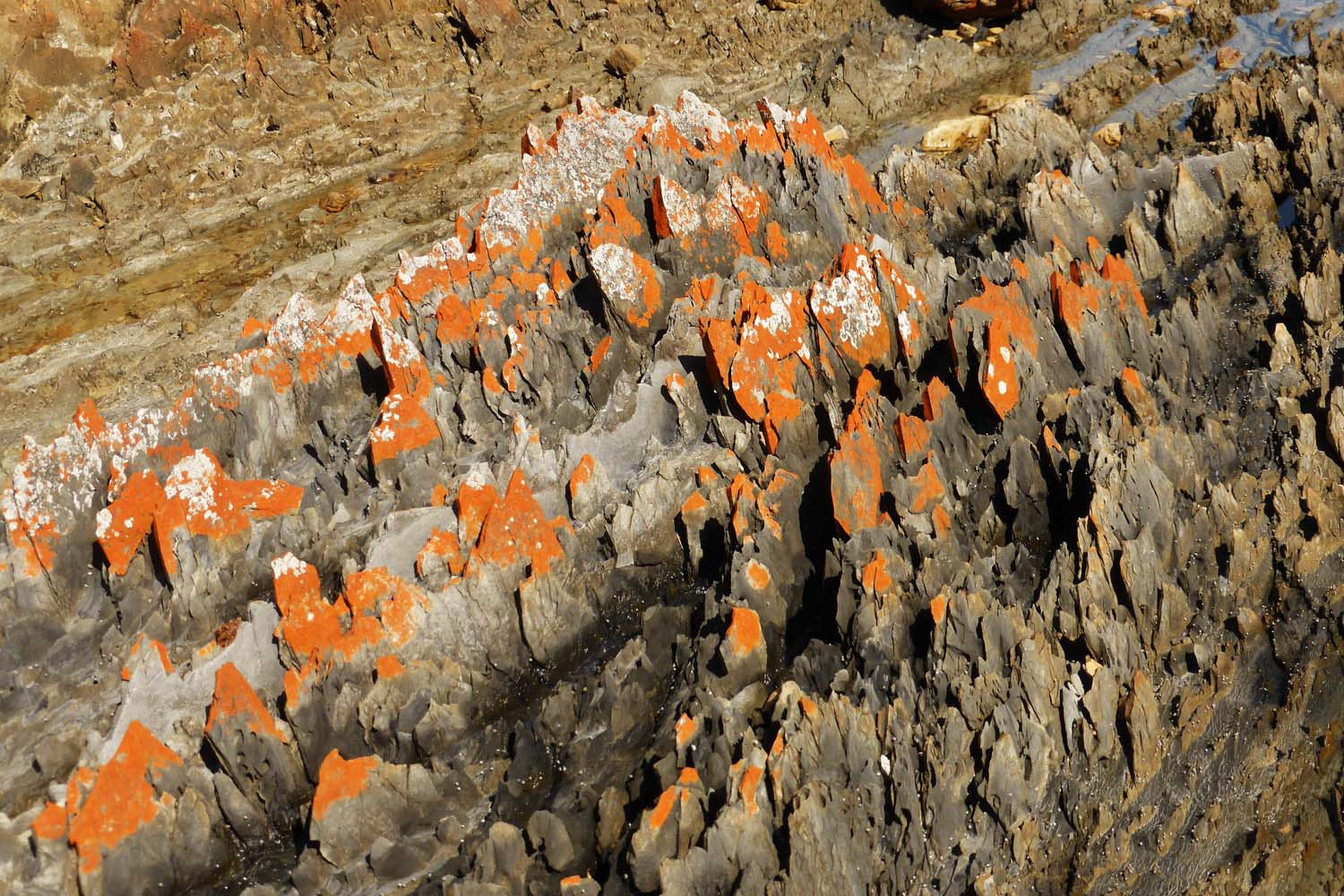 Rocky Cape National Park - The Journey and the Destination