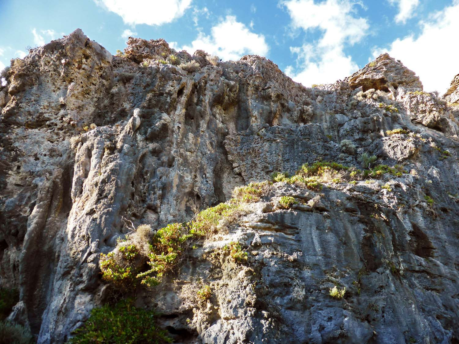 A walk to Bob’s Hollow - The Journey and the Destination