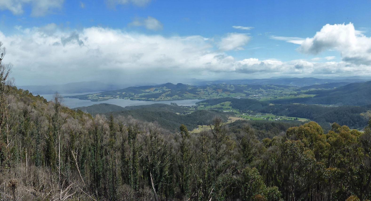 Climbing Mount Cygnet - The Journey and the Destination