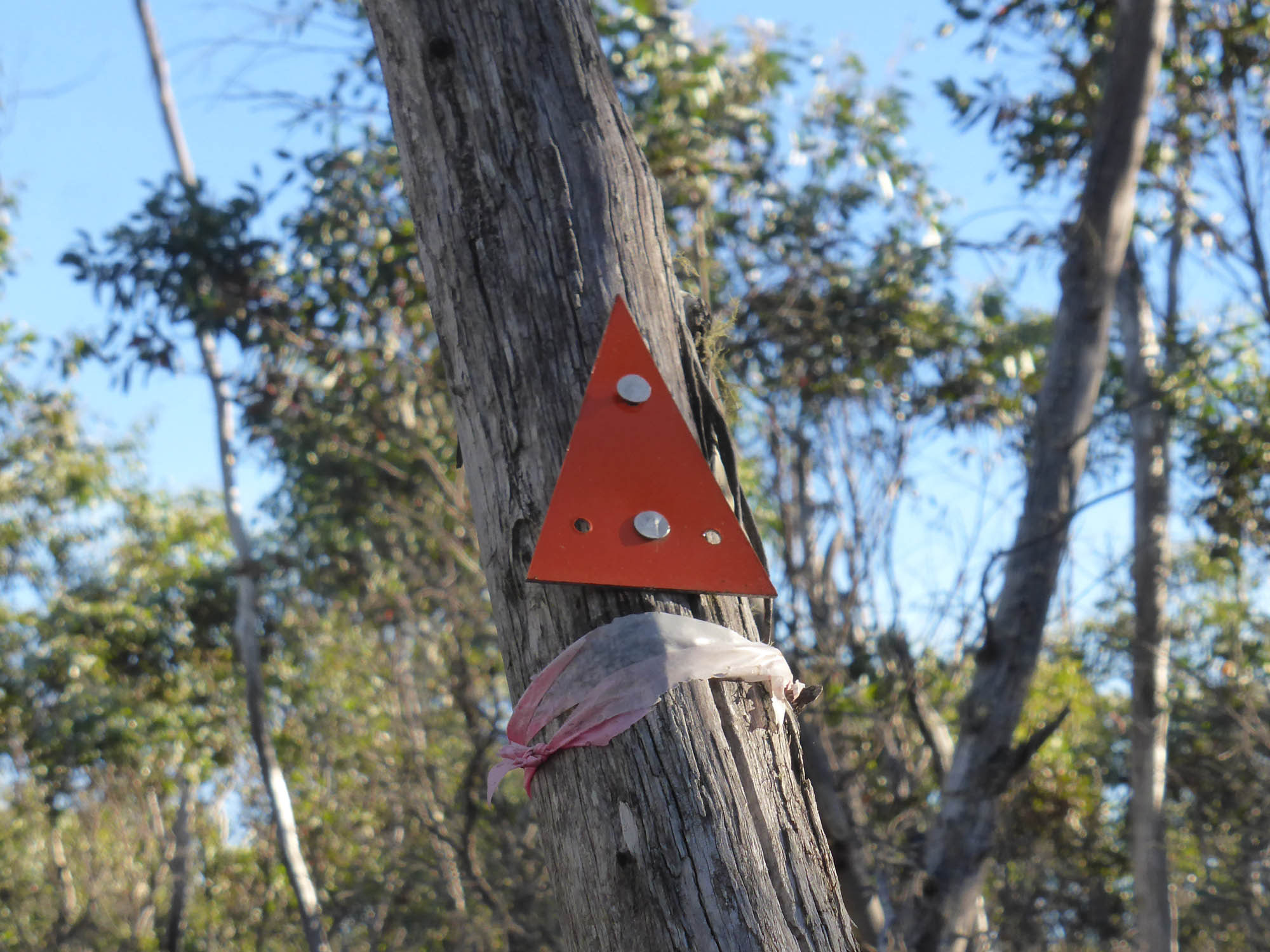 Climbing Platform Peak, Tasmania - The Journey and the Destination