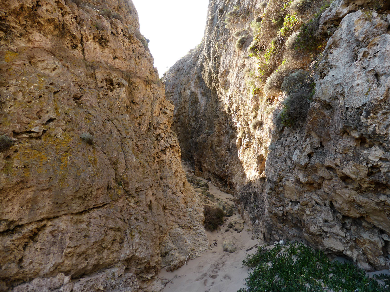 A walk to Bob’s Hollow - The Journey and the Destination